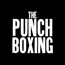 The Punch Boxing – MWS Promotions