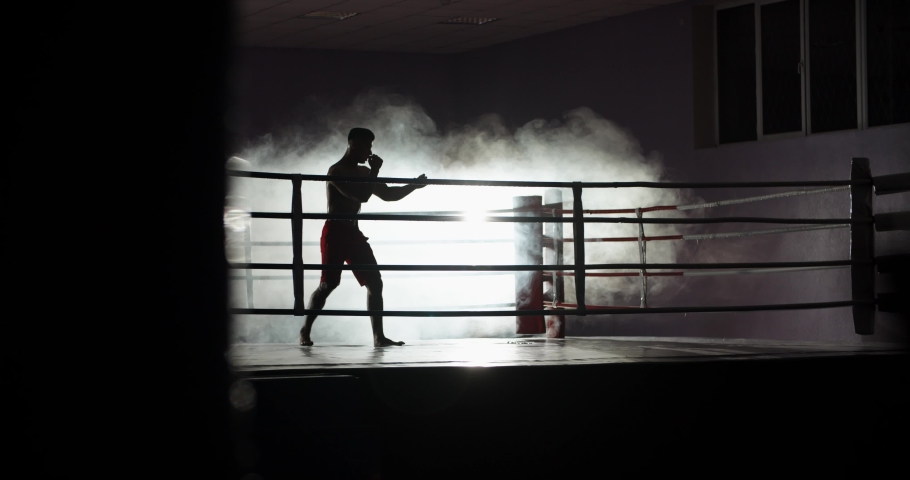 MWS Promotions – Entertainment & Sports Agency